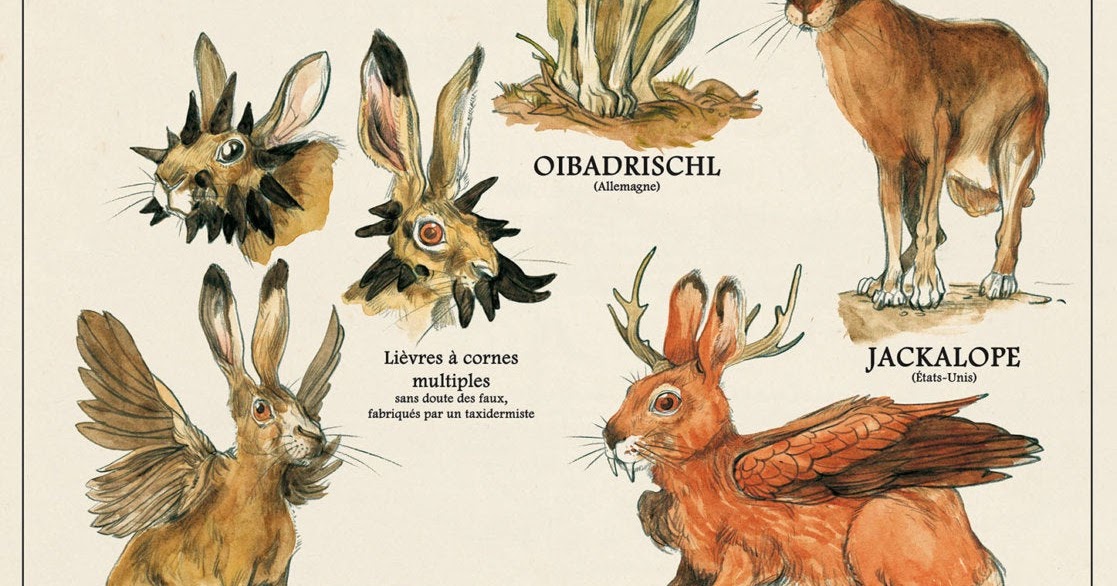 Planar Adventures for Dummies: Lepus cornutus and other paraleporids