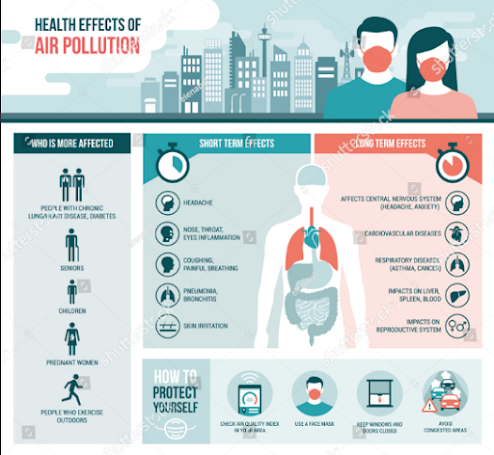 Environmental Pollution: Air Pollution | Effects of Air Pollution ...