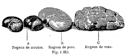 LA CUISINE FRANÇAISE D'ANTAN .: LES ROGNONS DE VEAU