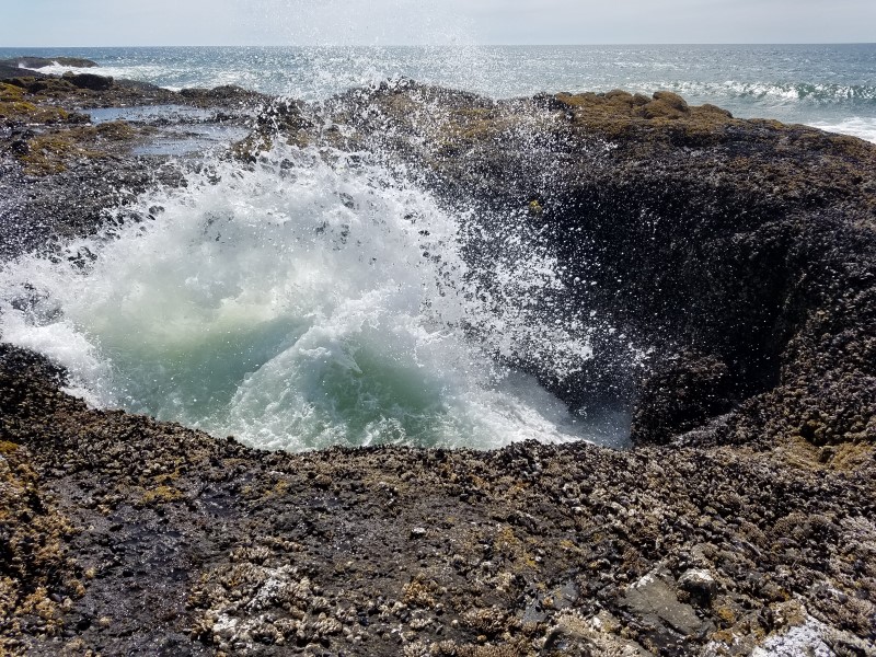 Unremarkable Files: A Pacific Northwest Family Reunion Story, Or, 7 ...