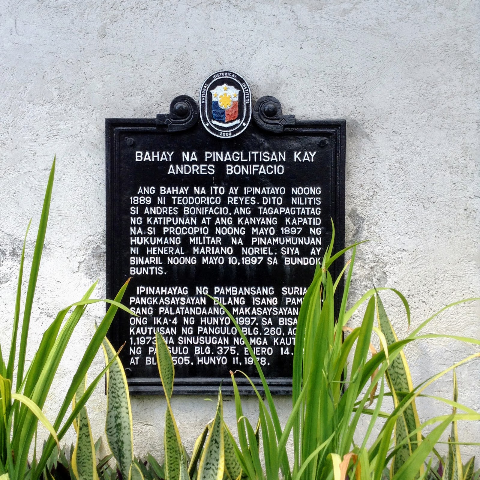 iStar-Tariray: Bonifacio Trial House