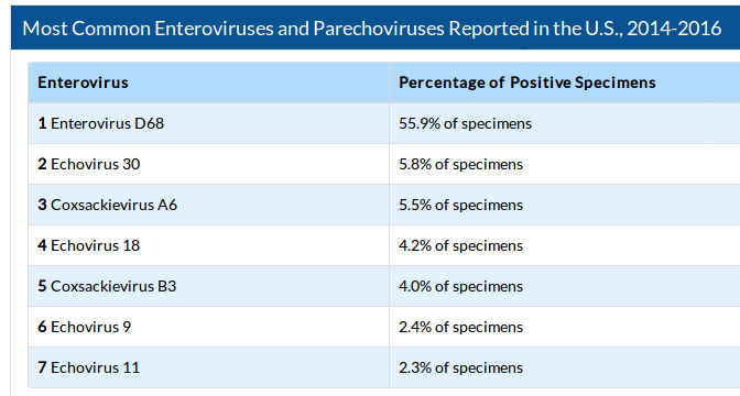 Avian Flu Diary: WHO Update: Enterovirus-Echovirus 11 Infection - the ...