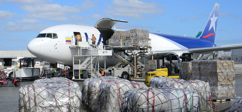 JASA EXPORT IMPORT MURAH JAKARTA PT.MSA LOGISTICS