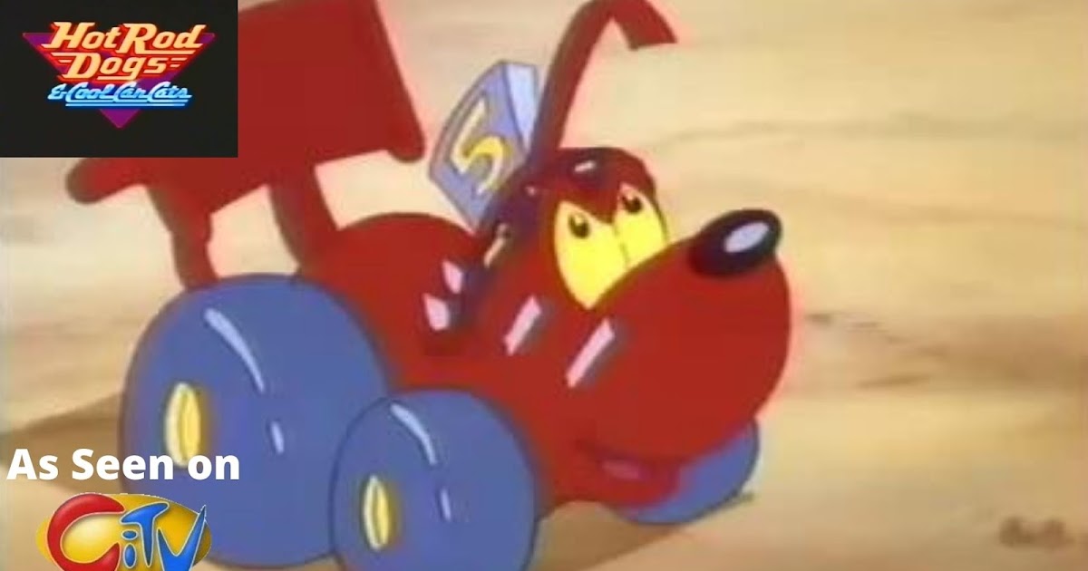 Favorite Television Program: Hot Rod Dogs and Cool Car Cat