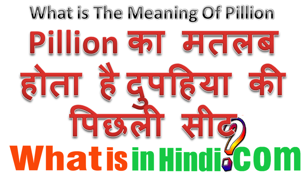Pillion का मतलब क्या होता है | What is the meaning of Pillion in Hindi ...