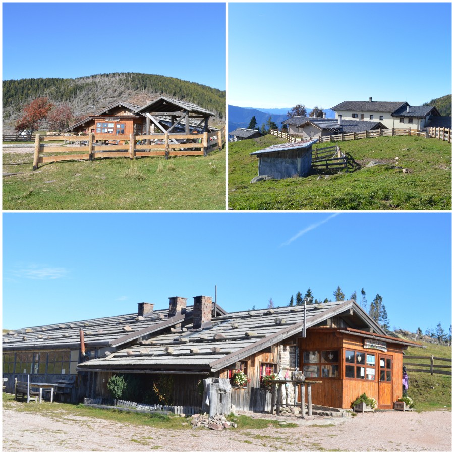 Escursione al Dosso di Costalta da Passo Redebus - Altopiano di Pinè ...