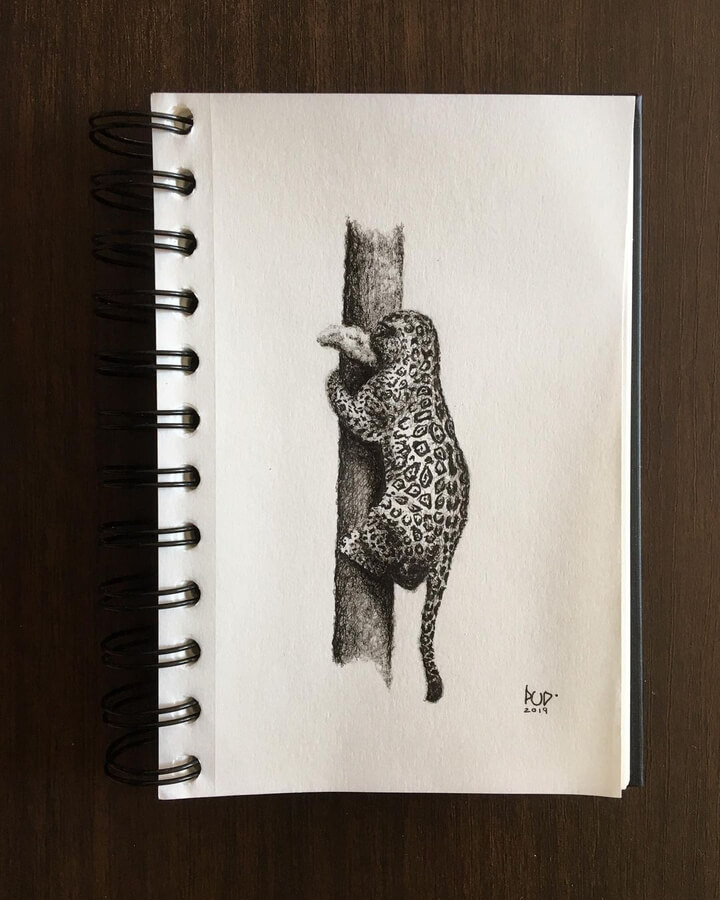 Design Stack: A Blog about Art, Design and Architecture: Animals and ...