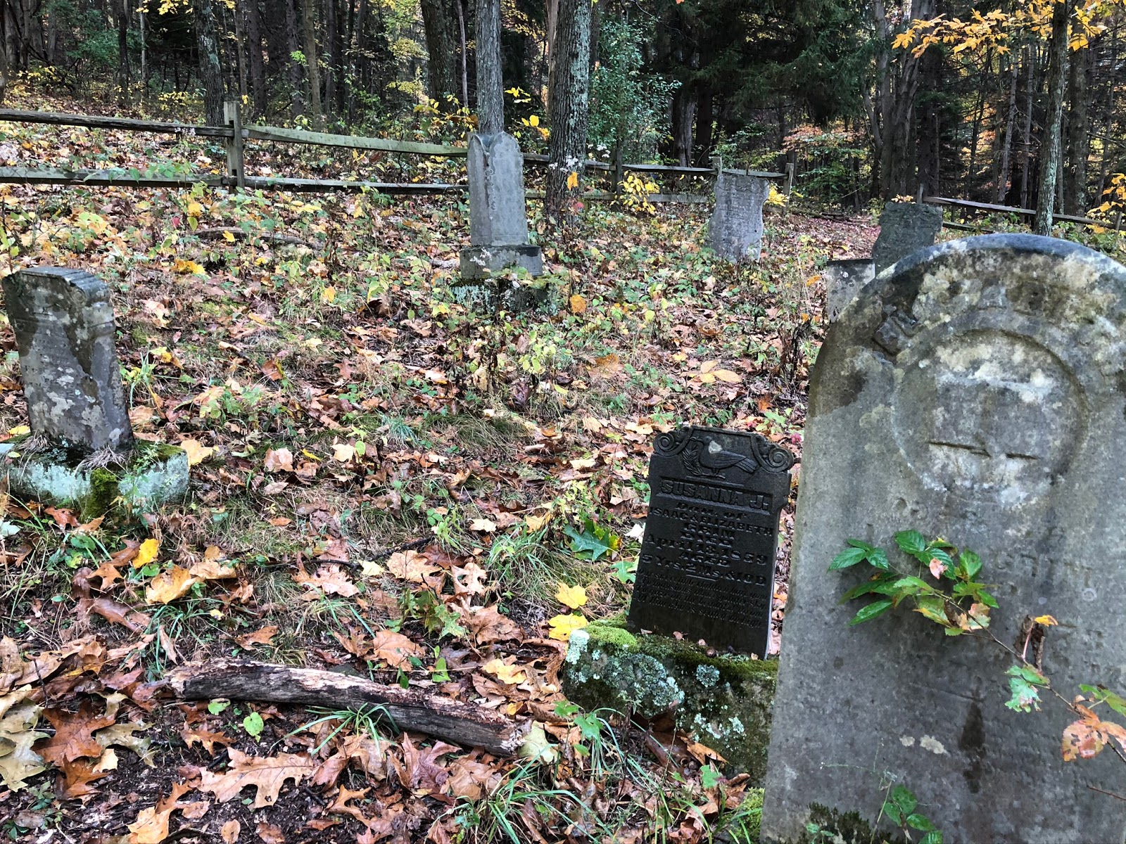 Snow and Jaggers: Chess Cemetery Discovery