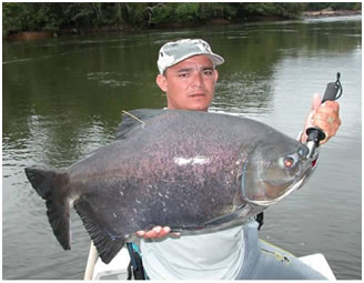 Extreme Angling in the Amazon ~ Tacklebargains Fishing Tips and Advice Blog