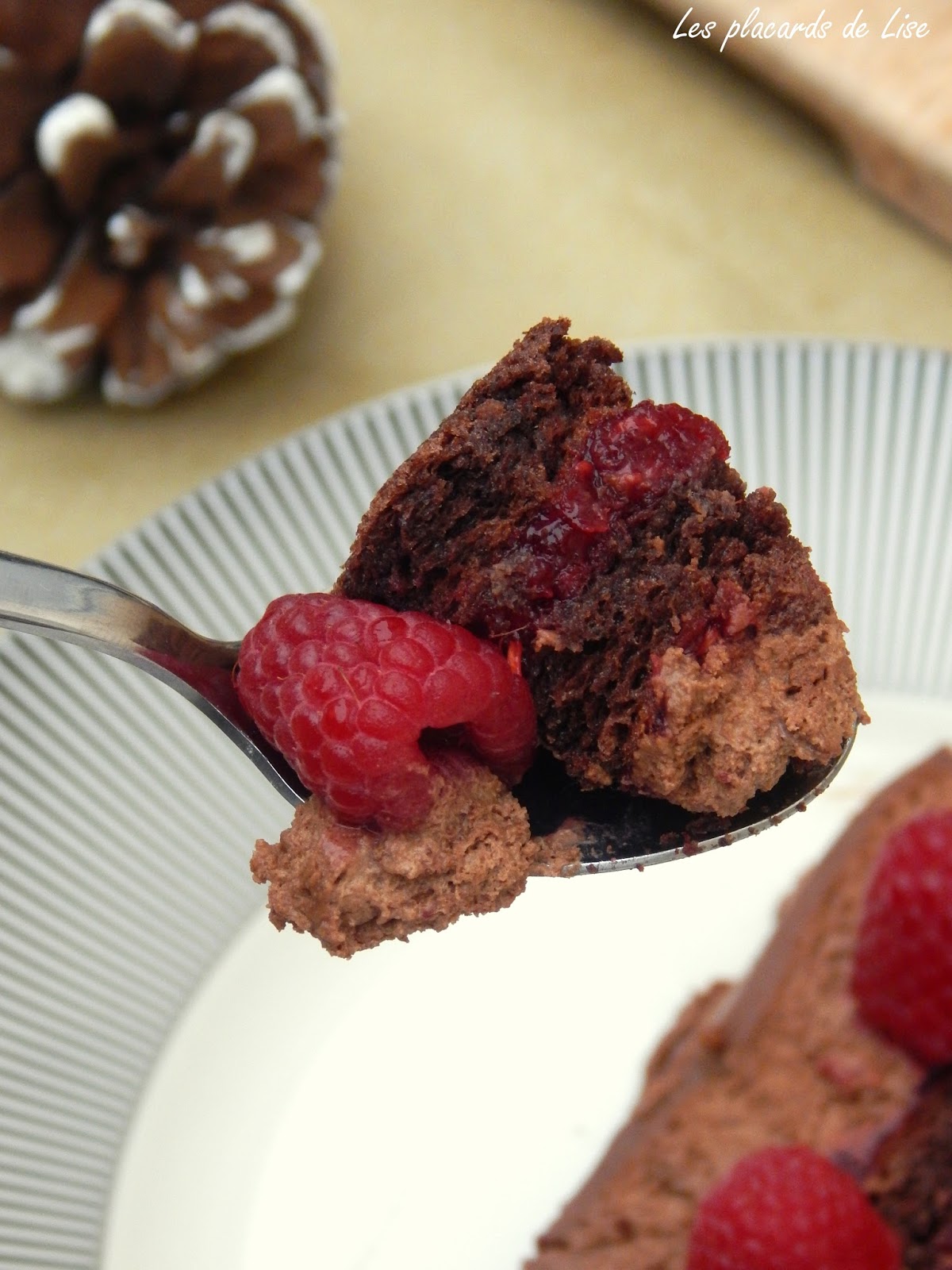 Gâteau chocolat-framboise - Les Placards de Lise