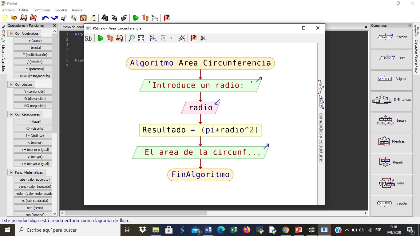 PROGRAMAS EN PSEUDOCÓDIGO EN PSEINT