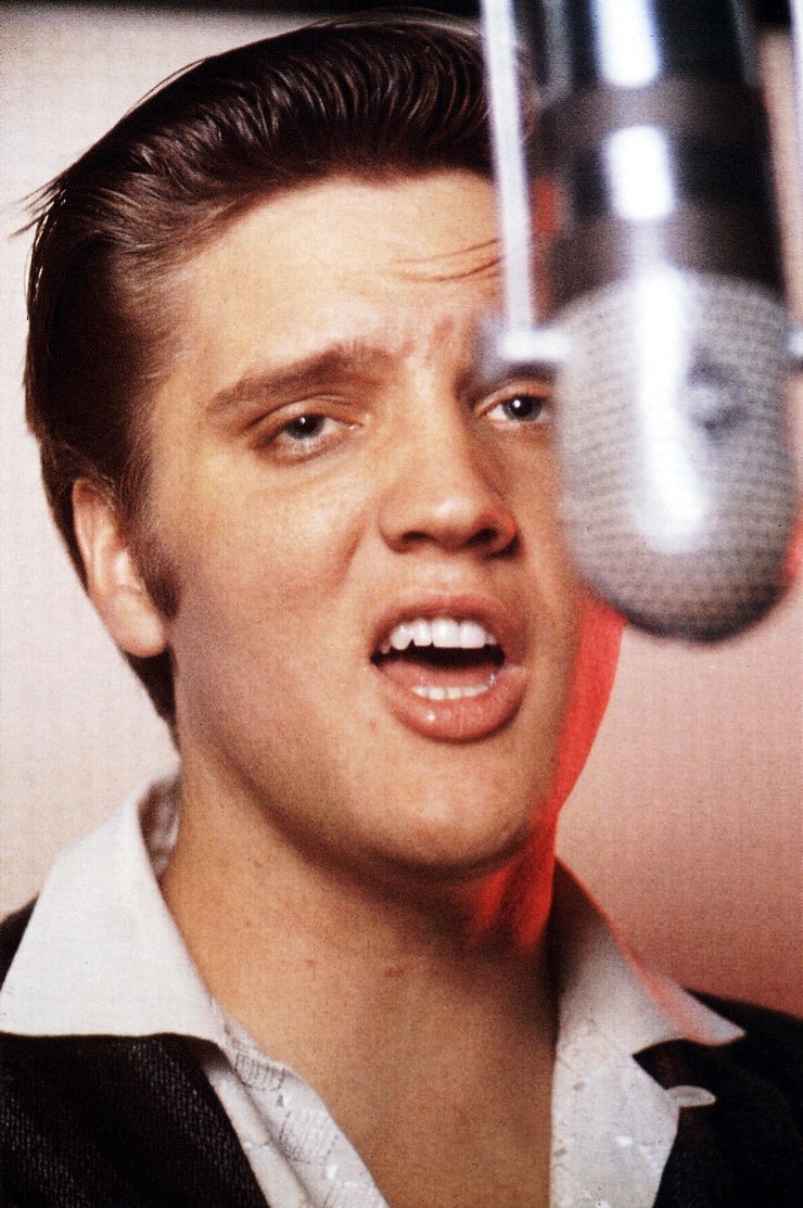 GrazieElvis - Elvis Presley Official Fan Club: LIBRO - ELVIS: ROOTS ...