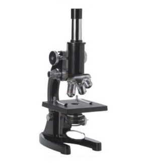 Laboratory Equipment Manufacturers: What is the meaning of Wide Field ...