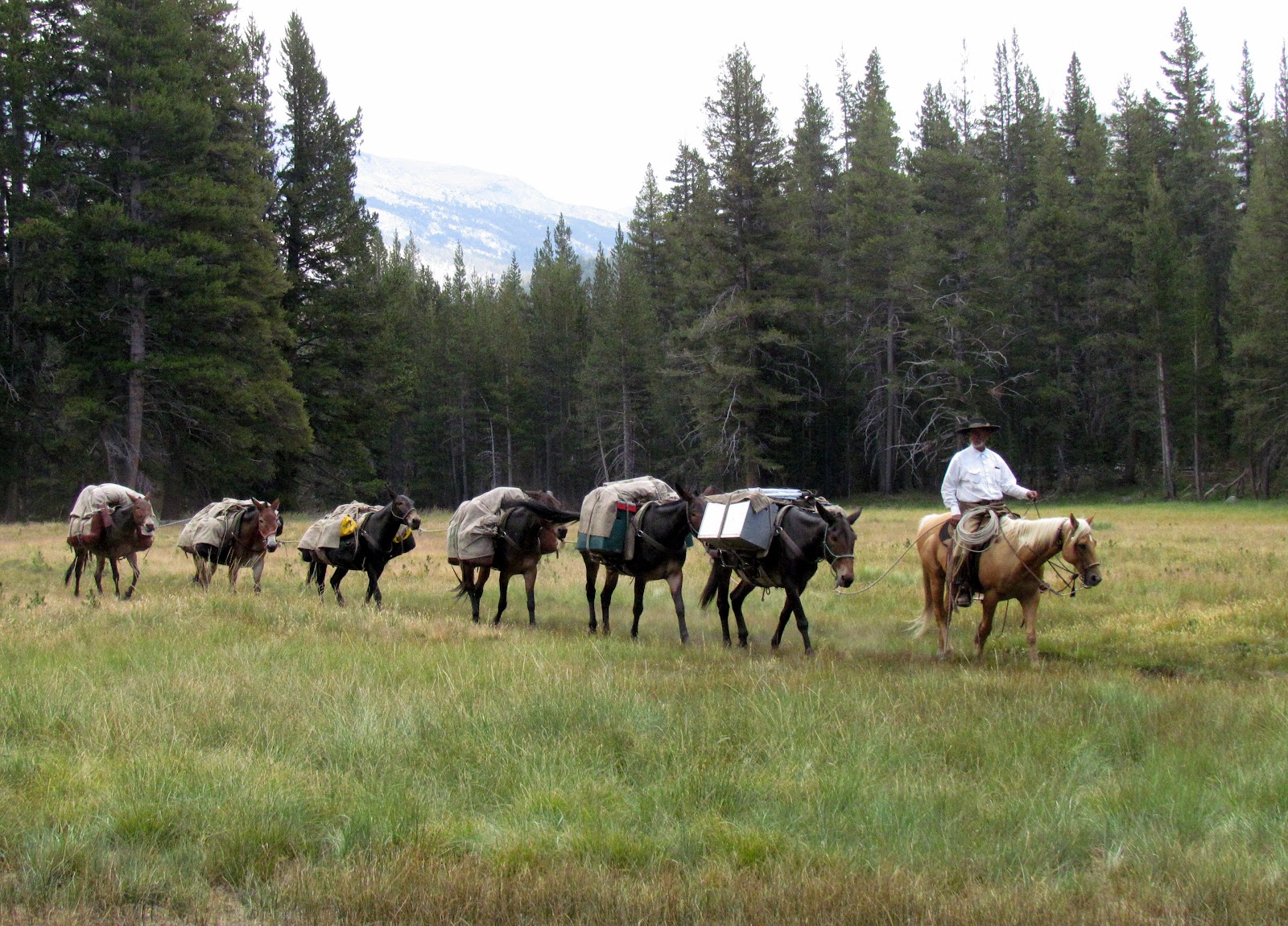 Paula & Dale on the road: Yosemite National Park