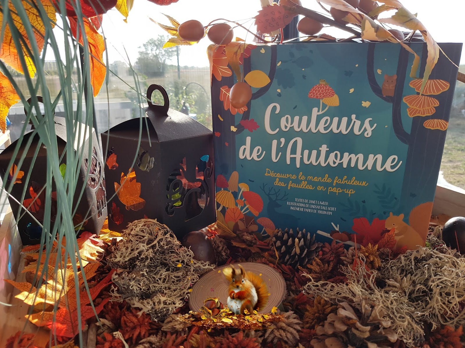 Sous le feuillage: Couleurs de l'Automne - Découvre le monde fabuleux ...