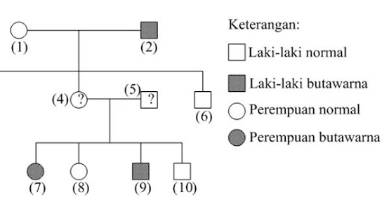 LKPD BIOLOGI 12: LKPD.37. Pola-pola Hereditas pada Manusia