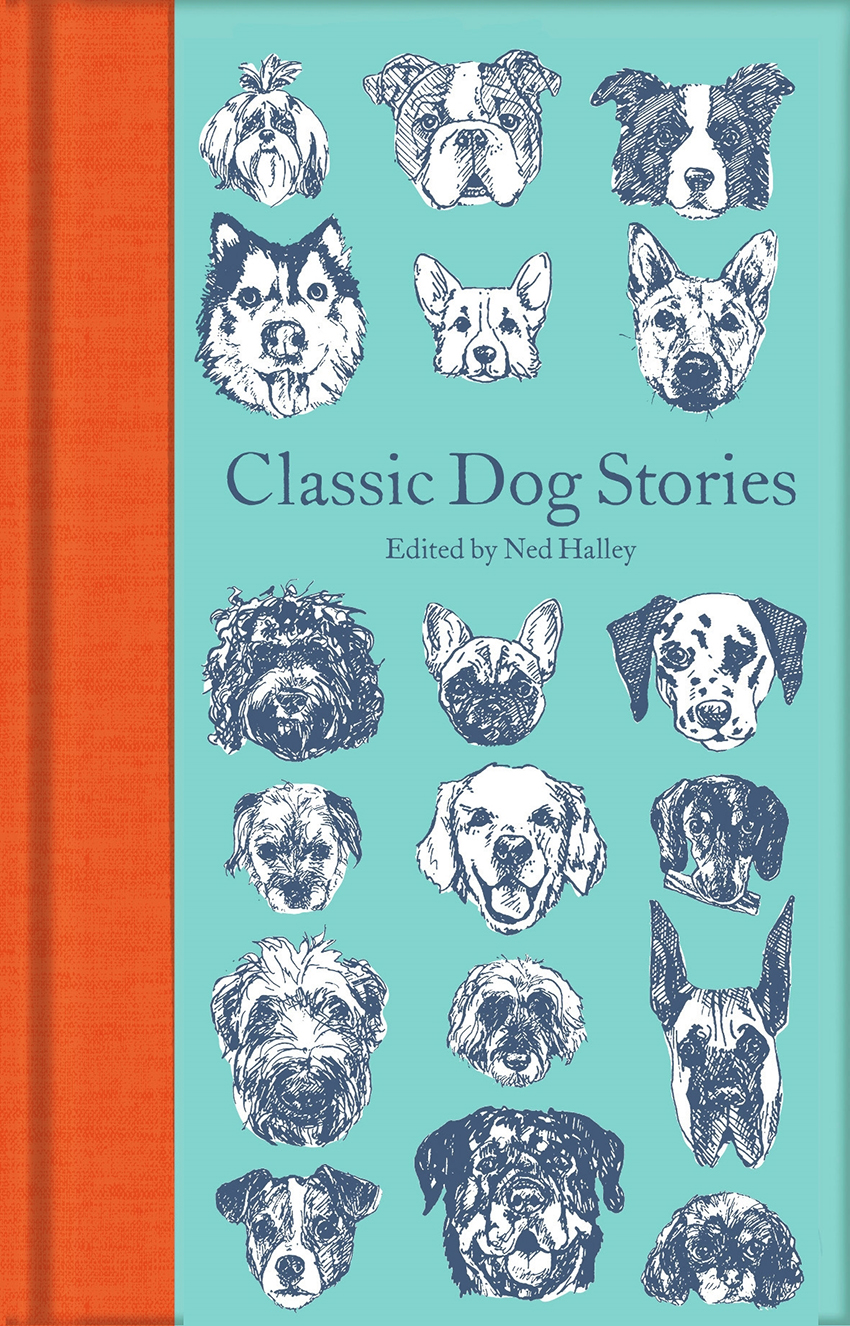 Dog Lovers Book Club - October 2020 | Australian Dog Lover