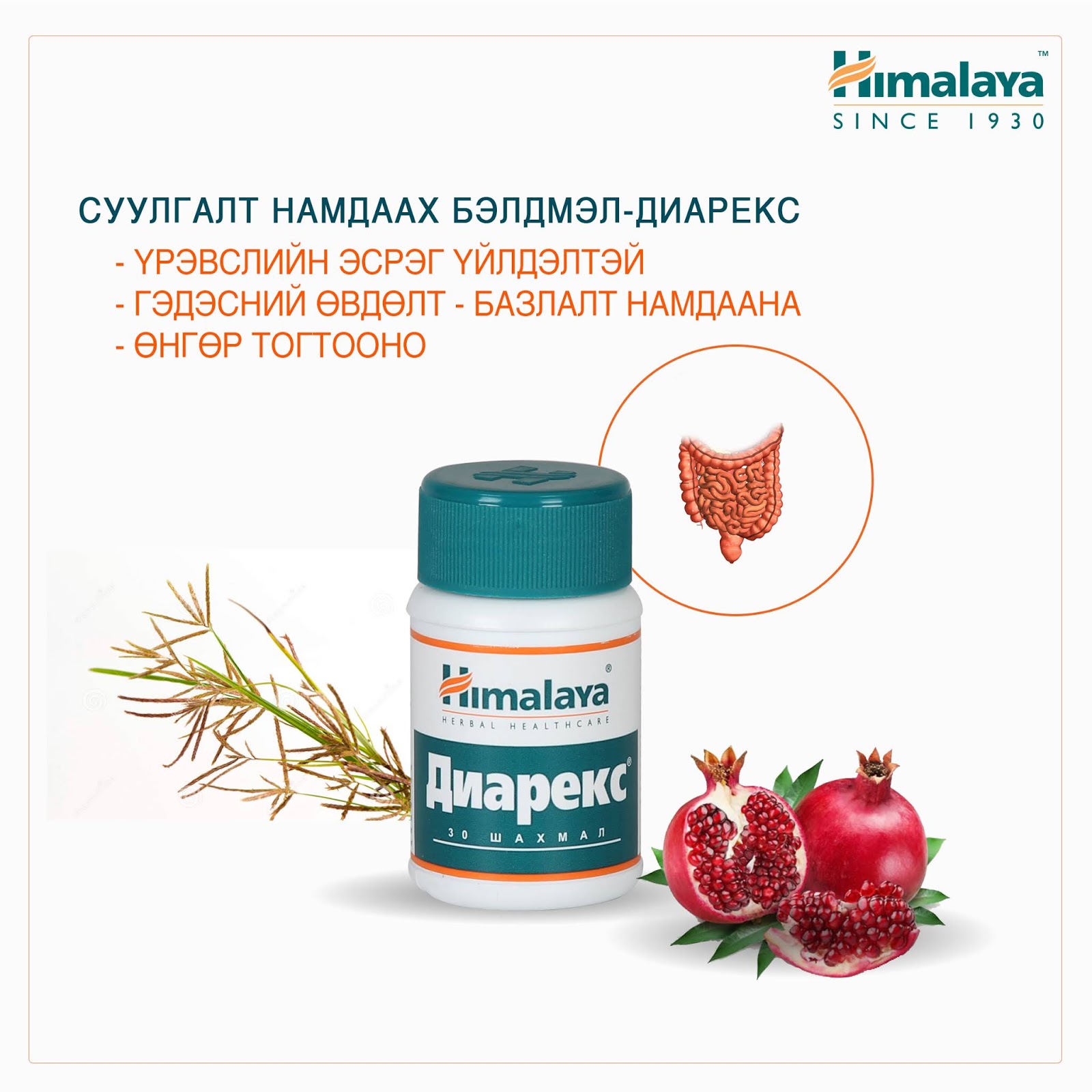 Хоолны хордлогот халдвараас сэргийлэх ДЭМБ ийн 5 түлхүүр зөвлөмж