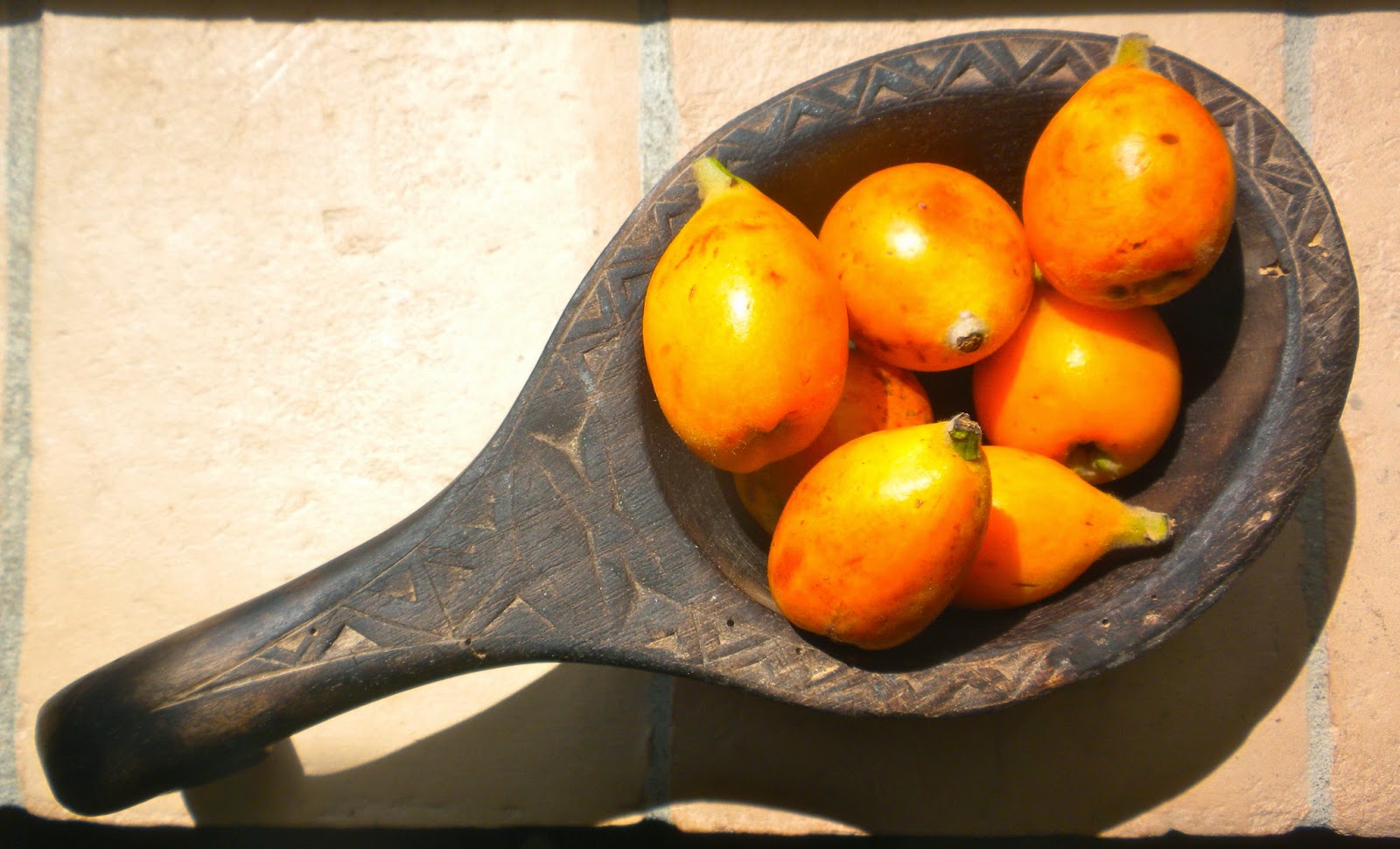 From a Tuscan Hillside: Fruit of the Month: Loquats