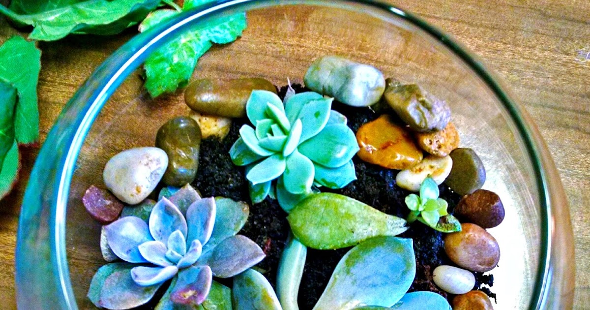 American Honey Home: Dollar Store Terrarium