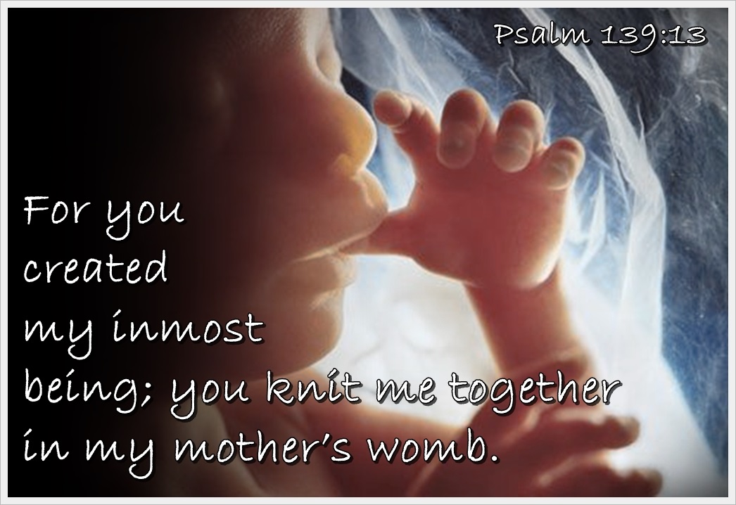 Blessed By The Lord December 18 2019 FEARFULLY AND WONDERFULLY MADE
