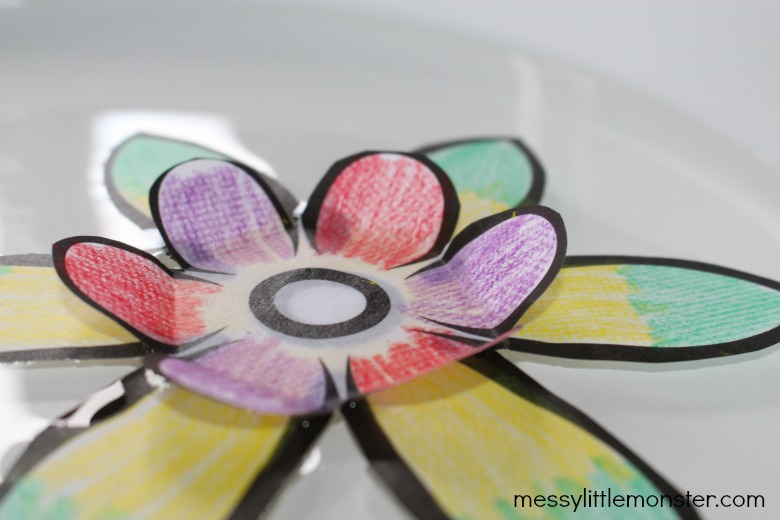 Magic Blooming Paper Flower Craft (& secret message stars!) - Messy ...