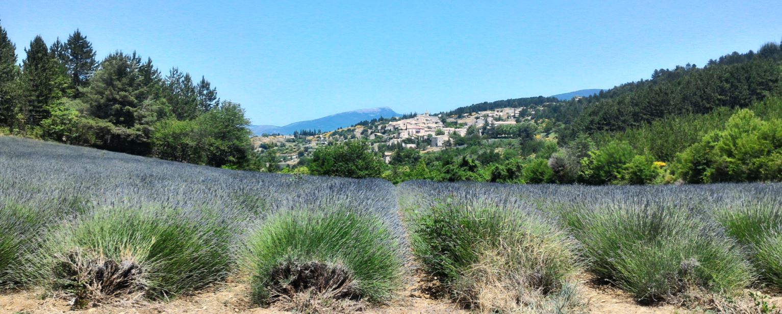 Voyages et Expériences : Itinéraire au coeur des Merveilles du LUBERON