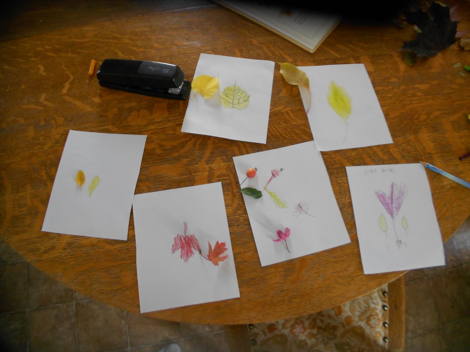 Almost Unschoolers: Crinkleroot Inspired Leaf Books