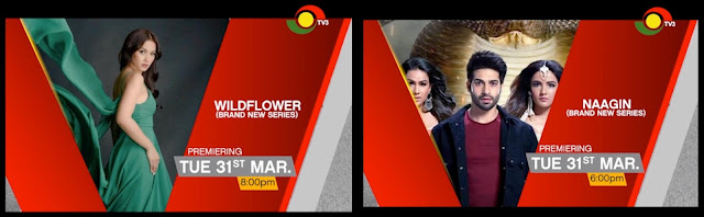 TV3 PREMIERES NEW TELENOVALES ON TUESDAY 31 MARCH 2020