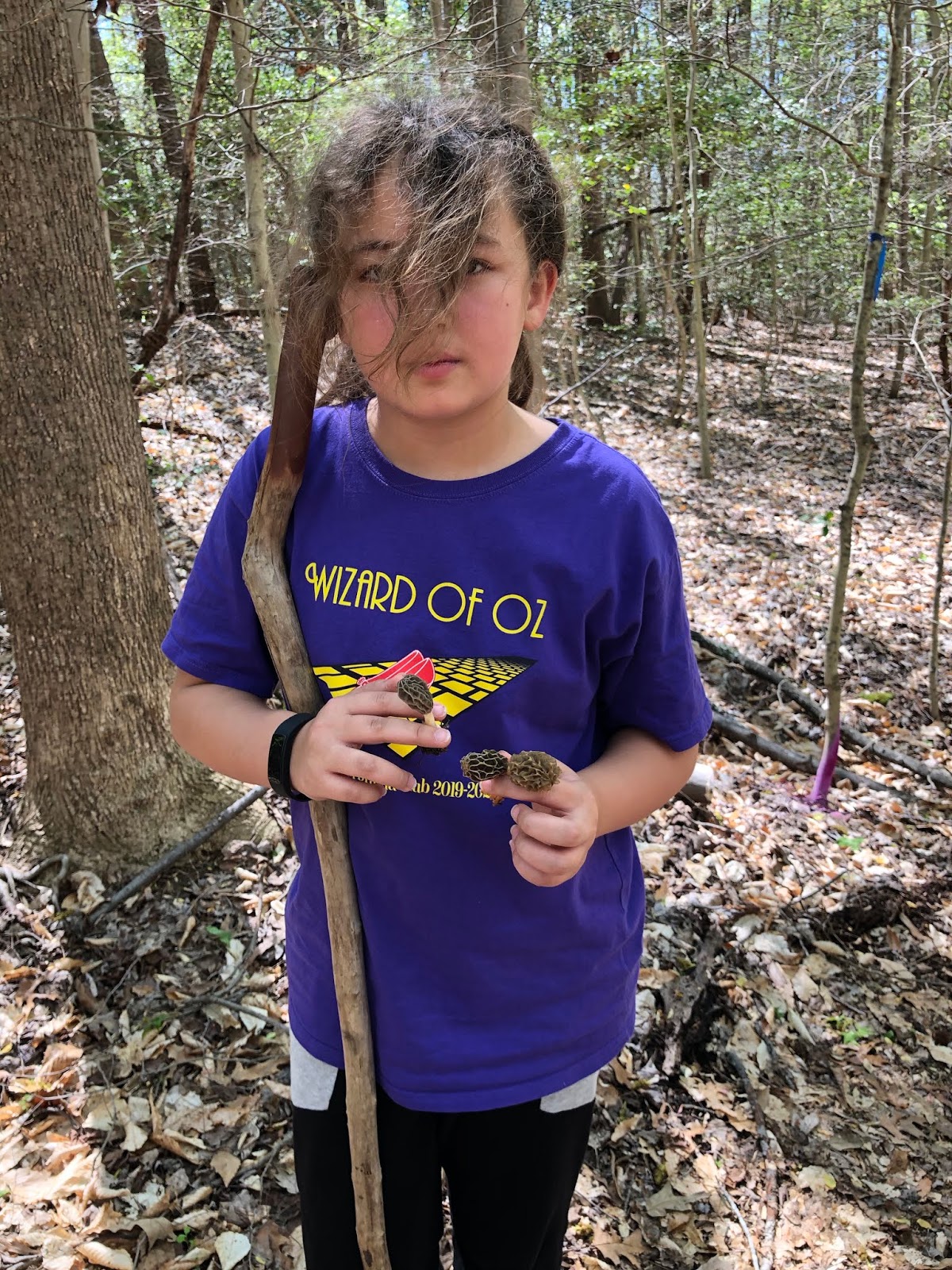 Ms. Nancy's Nook : The Molly Moocher Hunt!