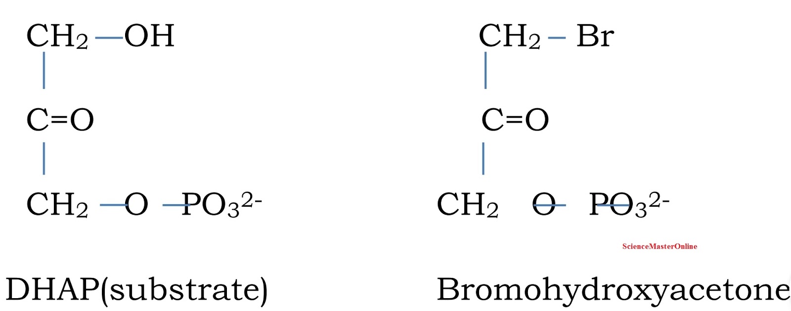 CONCEPT AND DETERMINATION OF ACTIVE SITE OF ENZYME - Science Master