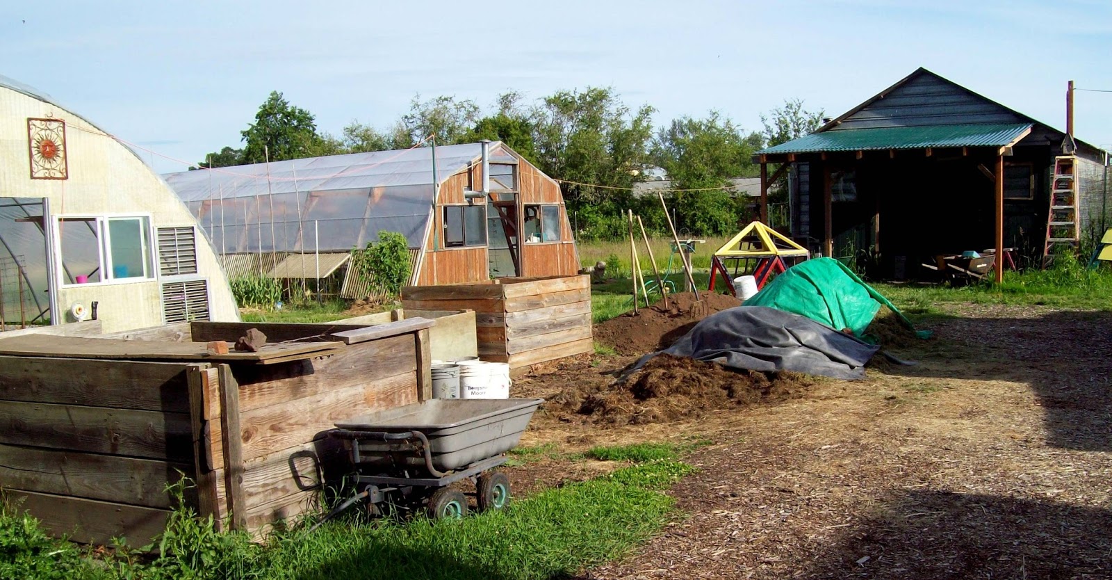 The Sharing Gardens : Herbicide Contamination?