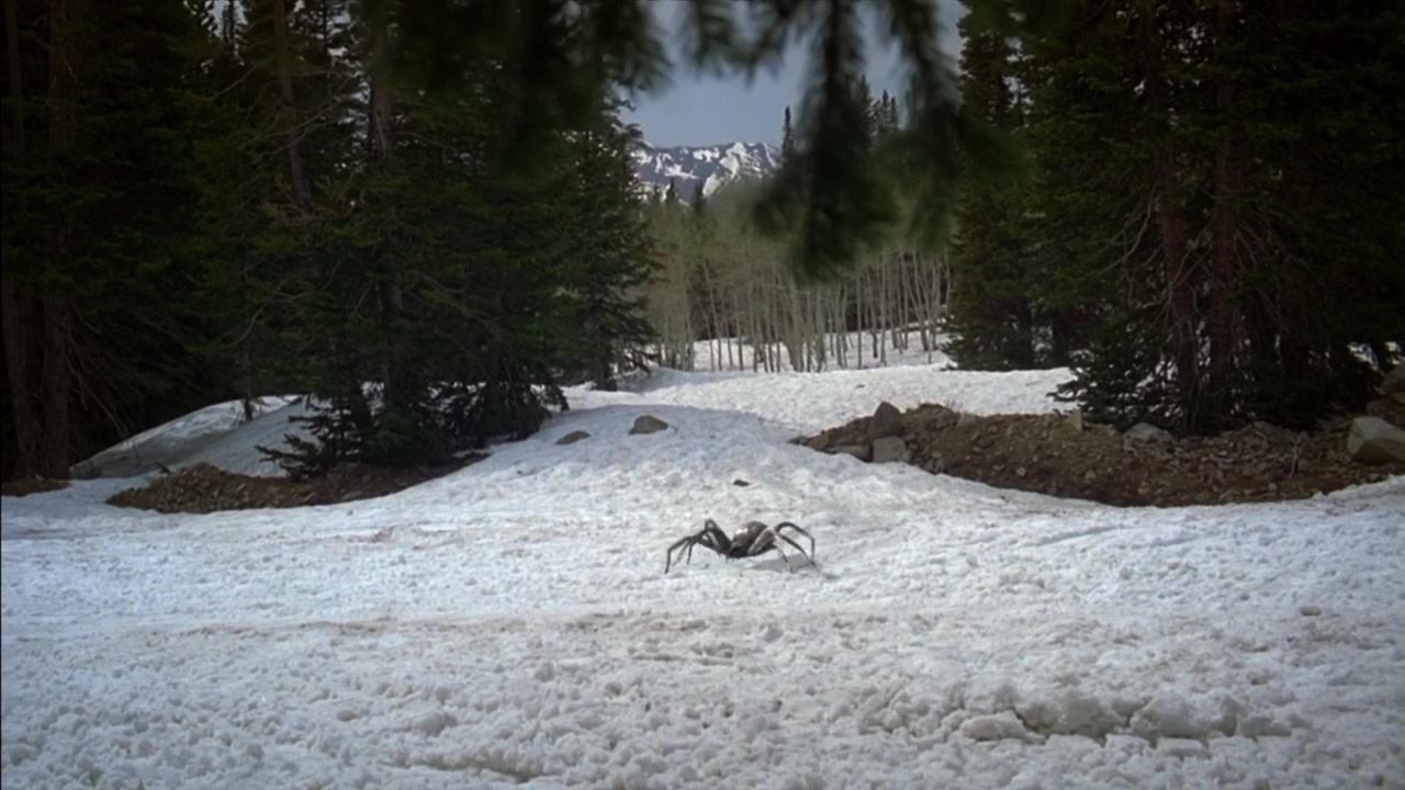 At the Movies: Ice Spiders (2007)