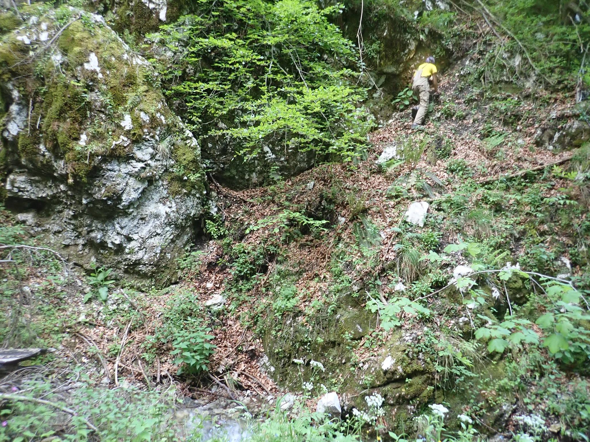 ŠTAJERSKI JAMARJI: Aktualno: Požiralnik pod Mornovo zijalko