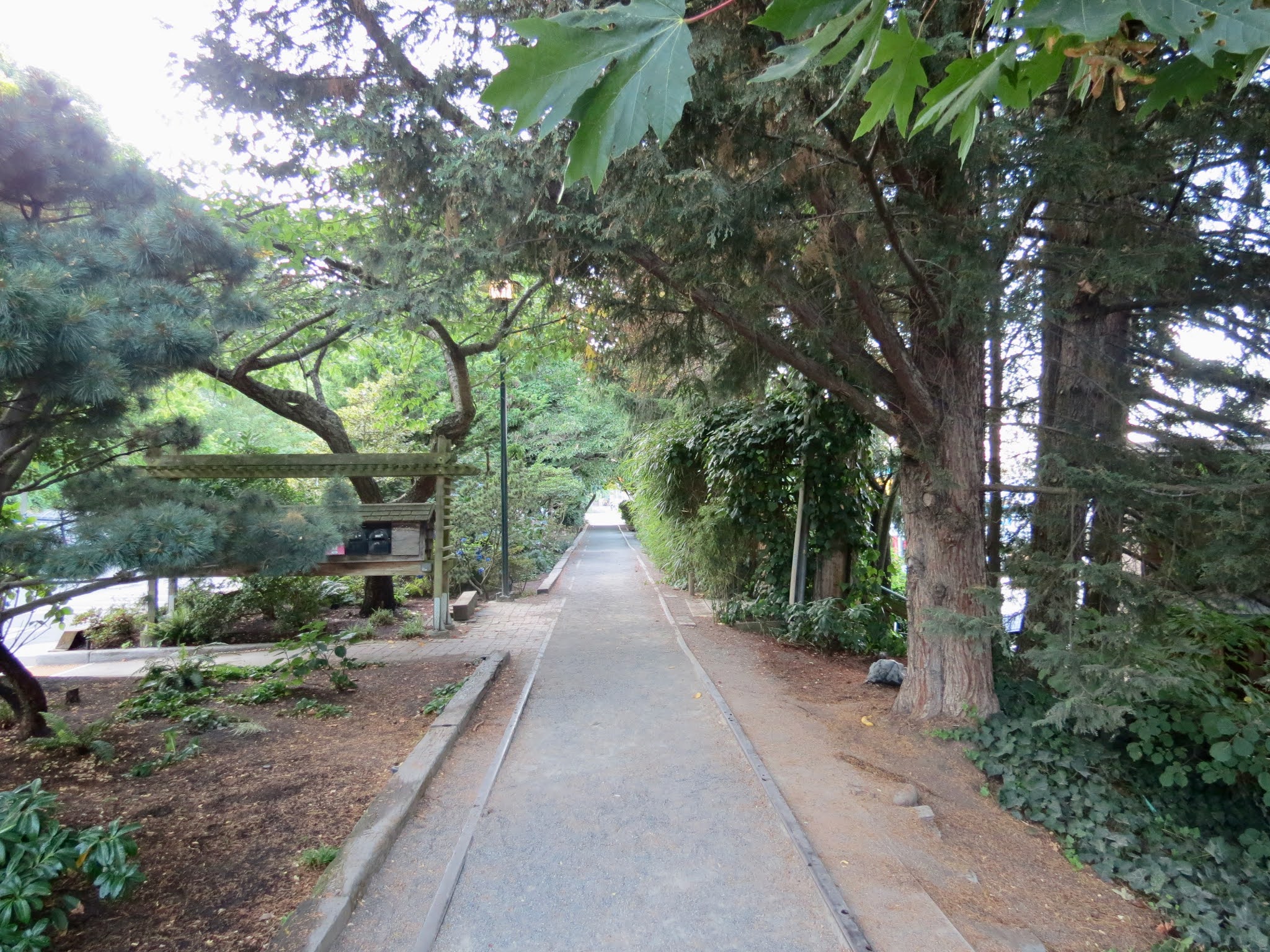 Nau speak: Seattle: August walk around Lake Union