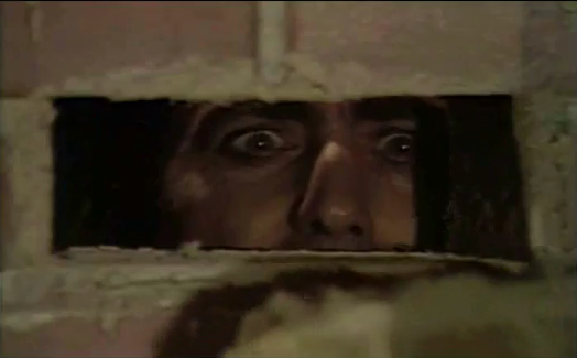 Shadows on the Wall: An Online Dark Shadows Fanzine: The 1795 Flashback