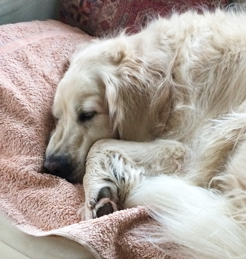 Crafting inspiration from Vicky at Crafting Clare's Paper Moments ...