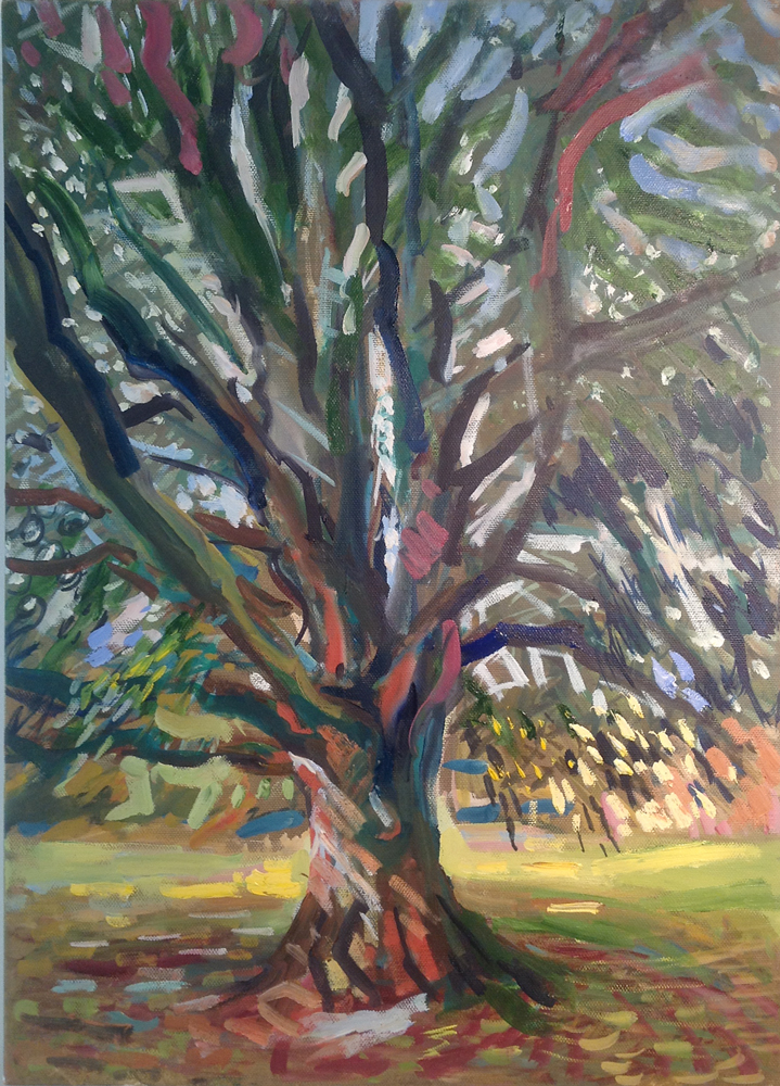 Year of the Boat: Oil Painting 46 - Inside the Copper Beech