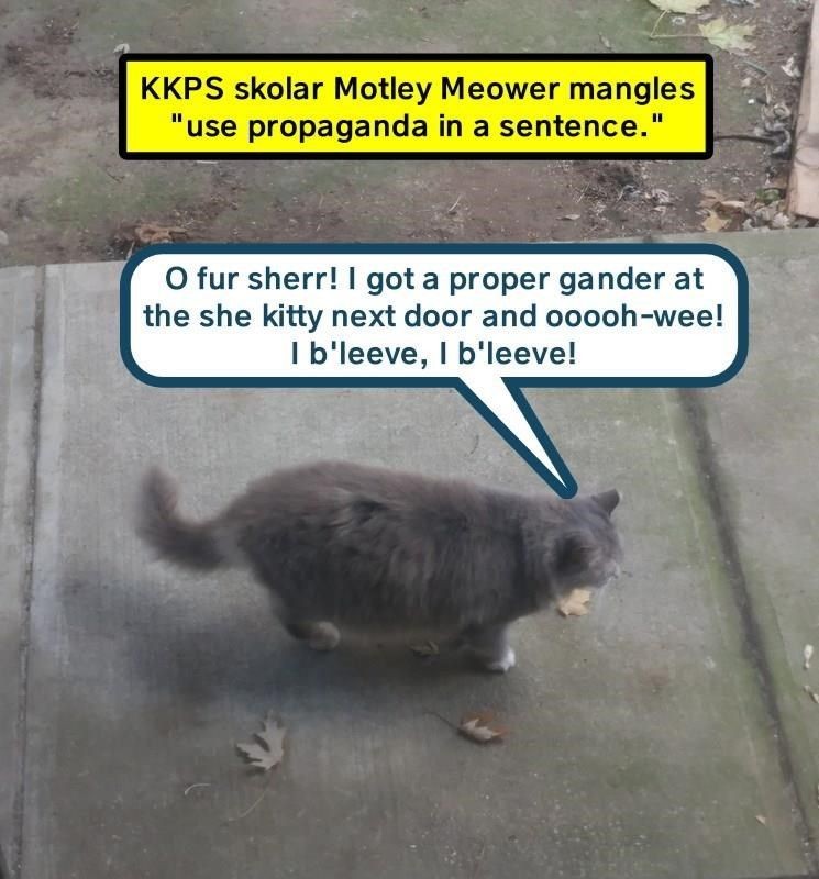 Offensive 23 Cat Memes From the Dark Side of the Internet