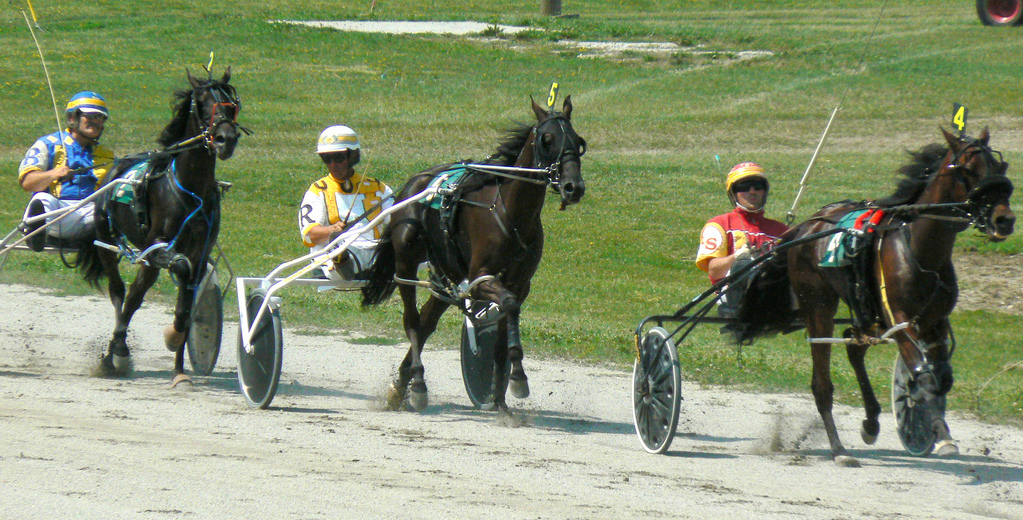Do 52 New: Item #41 - Play the Ponies at Suffolk Downs