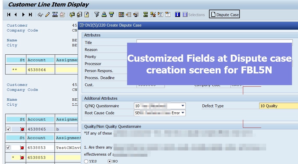 SAP ABAP Central: Customized Fields at Dispute case creation screen for FBL5N