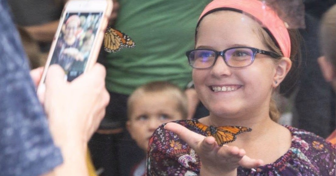PA Environment Digest Blog: Penn State's Great Insect Fair Imagines A ...