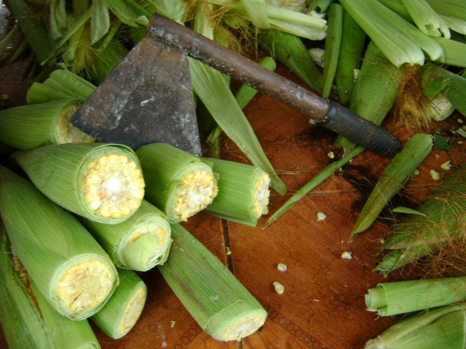 CONEXÃO CERRADO ILHA: PAMONHA DE SAL, DE DOCE E À MODA