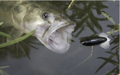 West Neck Creek Ramblings: It's a Plop-Plop, Without the Fizz-Fizz...