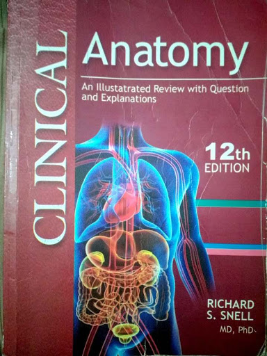 ANATOMY LECTURE NOTES!!