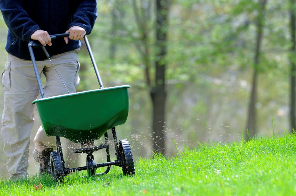 PA Environment Digest Blog Sen Alloway Bill Regulates Lawn Fertilizer Application To Reduce pa-environment-digest-blog-sen-alloway-bill-regulates-lawn-fertilizer-application-to-reduce