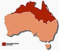 Australian Savannas: Overview