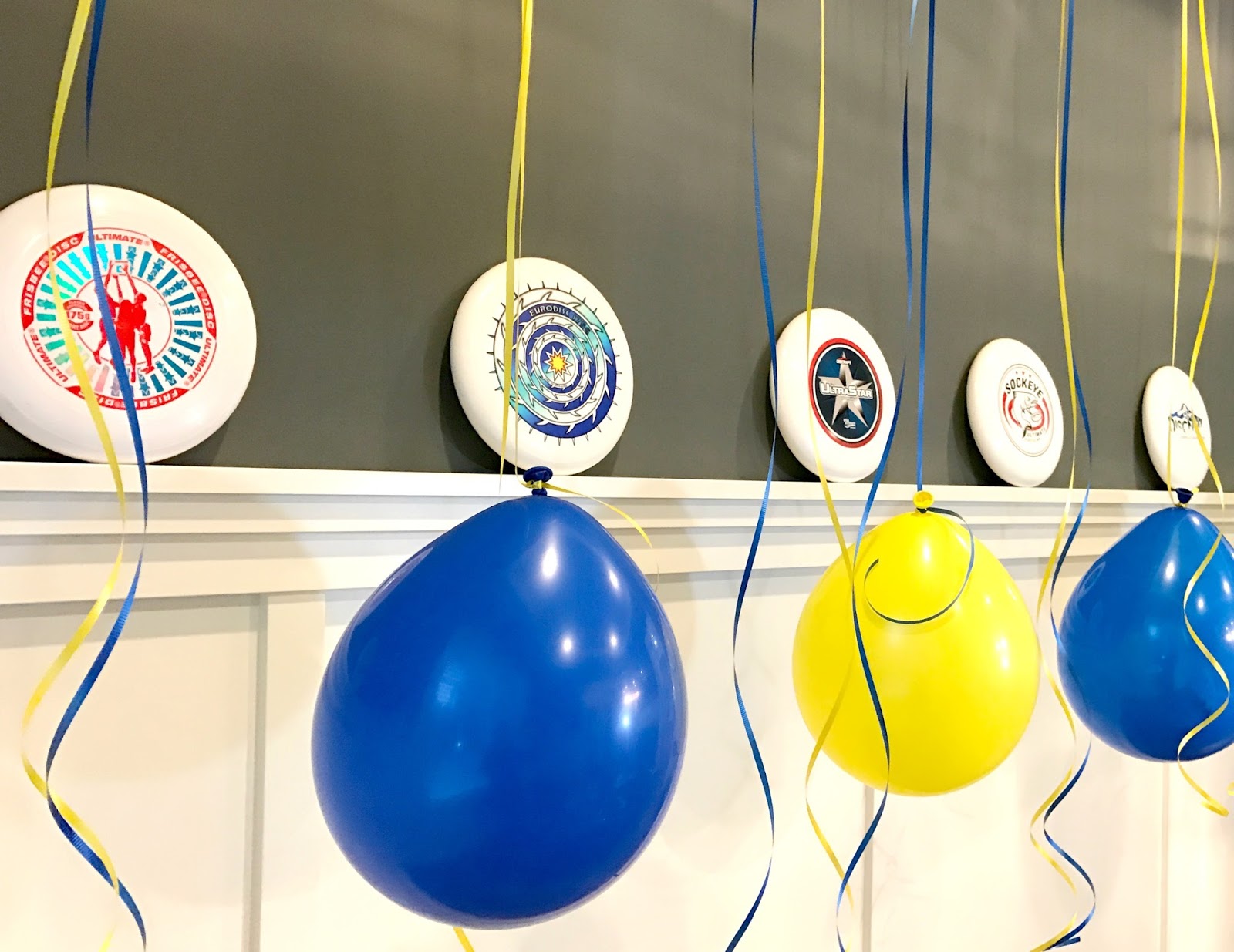 michelle paige blogs: Ultimate Frisbee Party