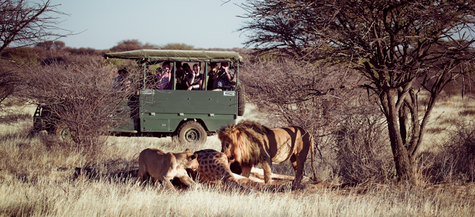 Namibia Reservations: Erindi Private Game Reserve
