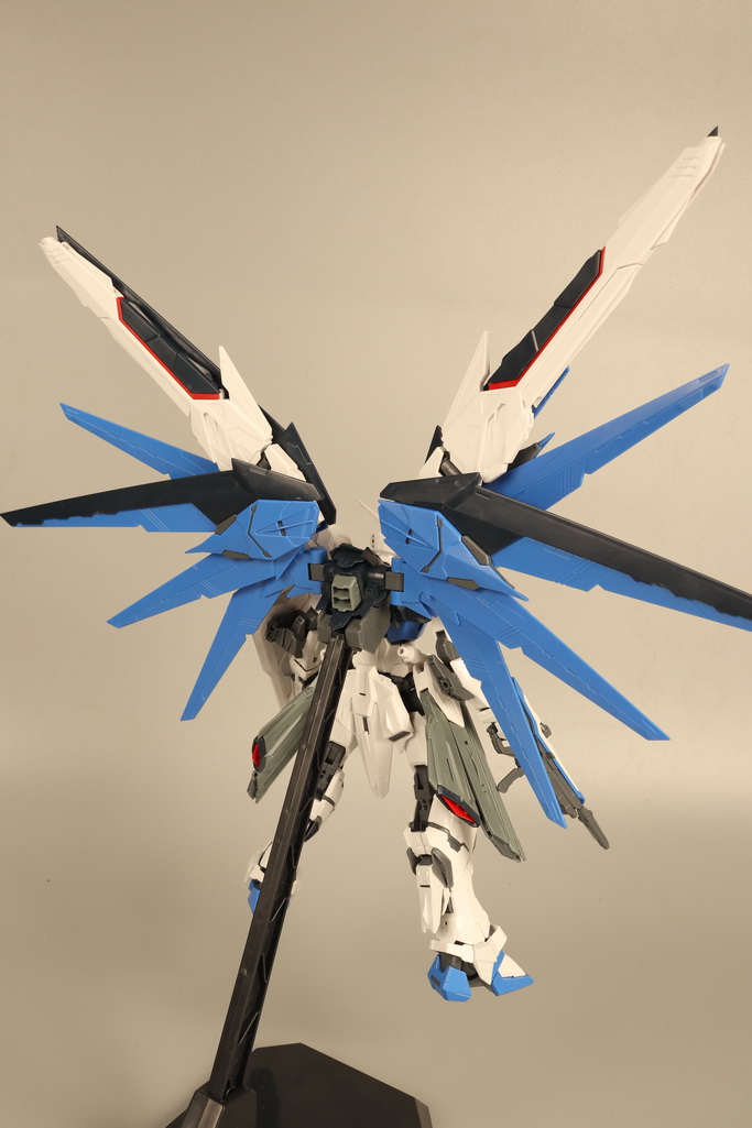 nu Type: Daban Model 6650 Freedom ver.2.0 (review)